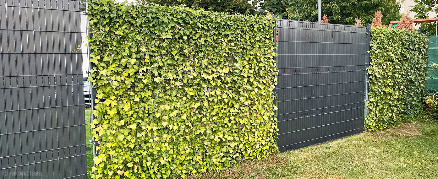 Ploty | Dřevěné a plastové výplně | Pohodanaterase.cz